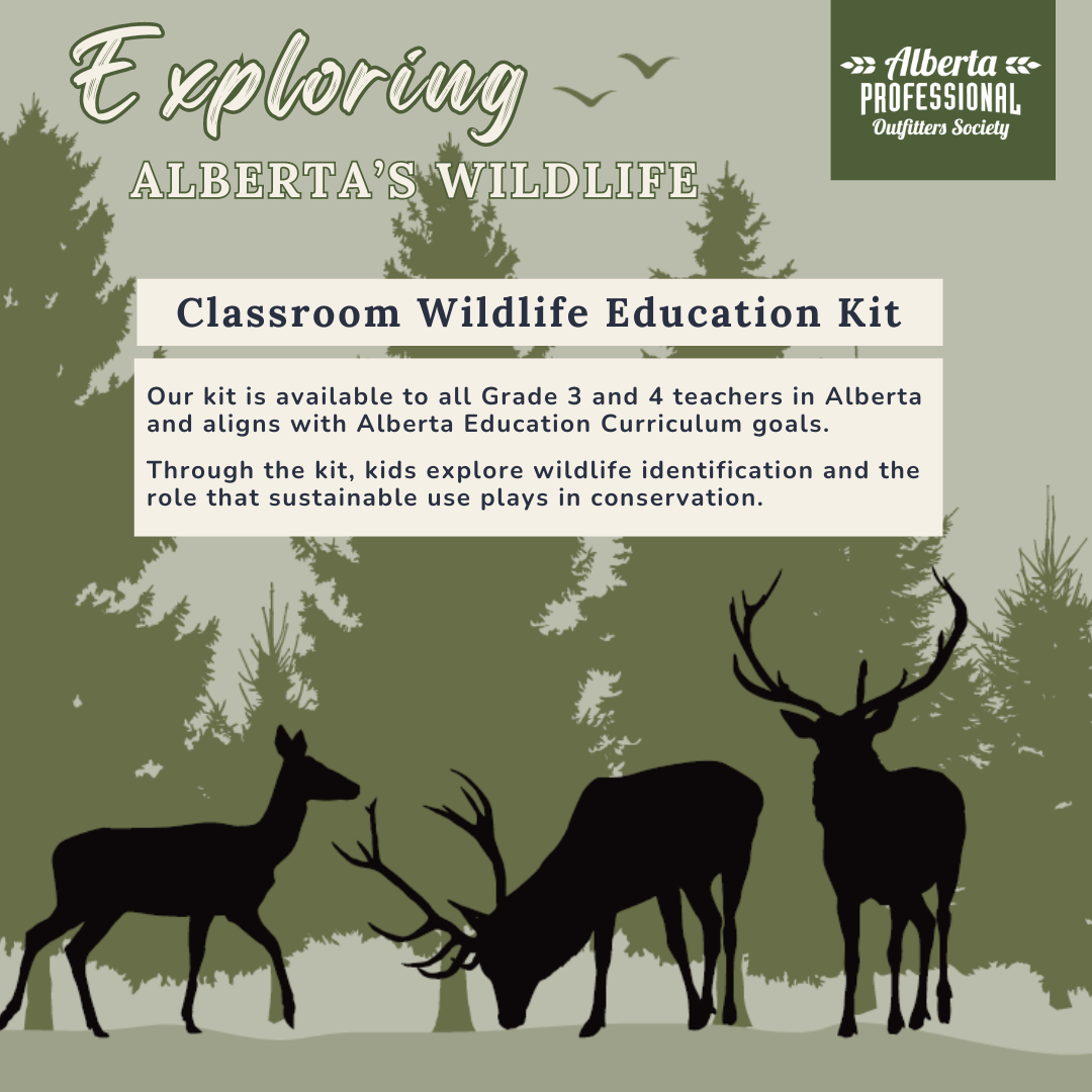 Wildlife Education